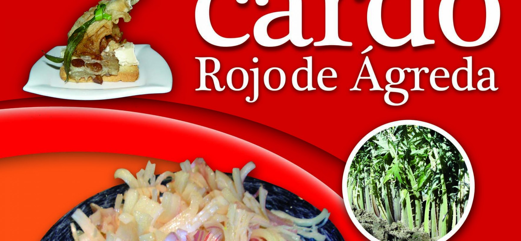 V Jornadas del Cardo Rojo de Ágreda, Soria | Destino Castilla y León