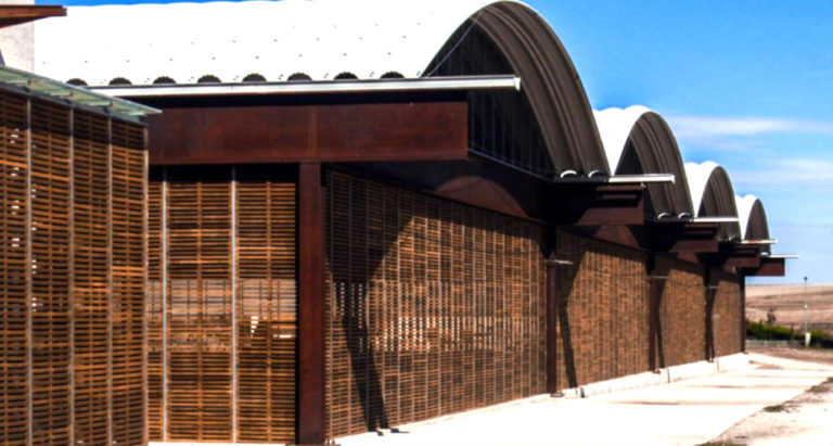 Visita a la Villa romana de Almenara-Puras – Destino Castilla y León